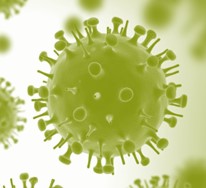 LAC | DPH | COVID-19 Community Guidelines